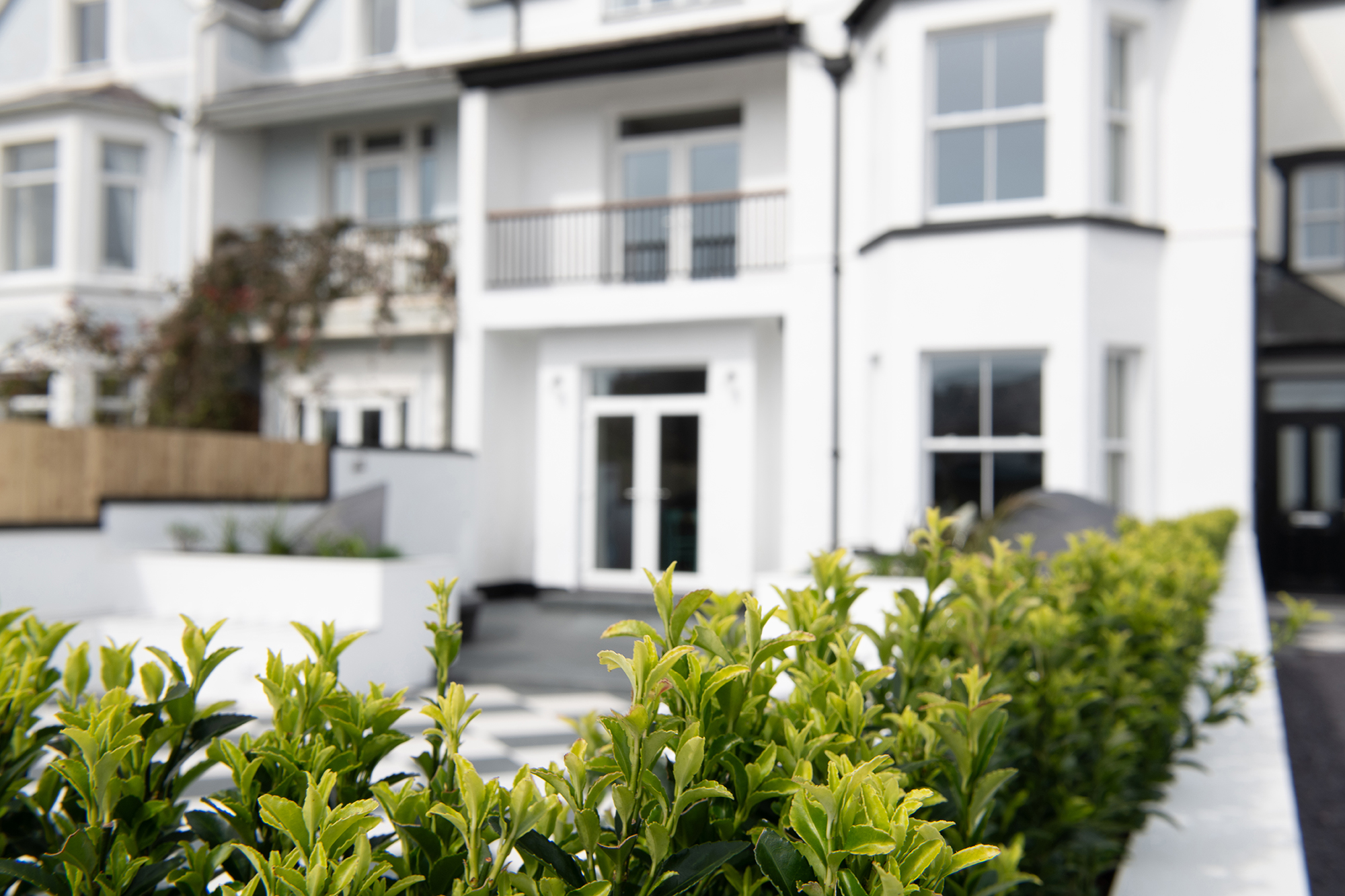 Camellia House - Holiday Properties